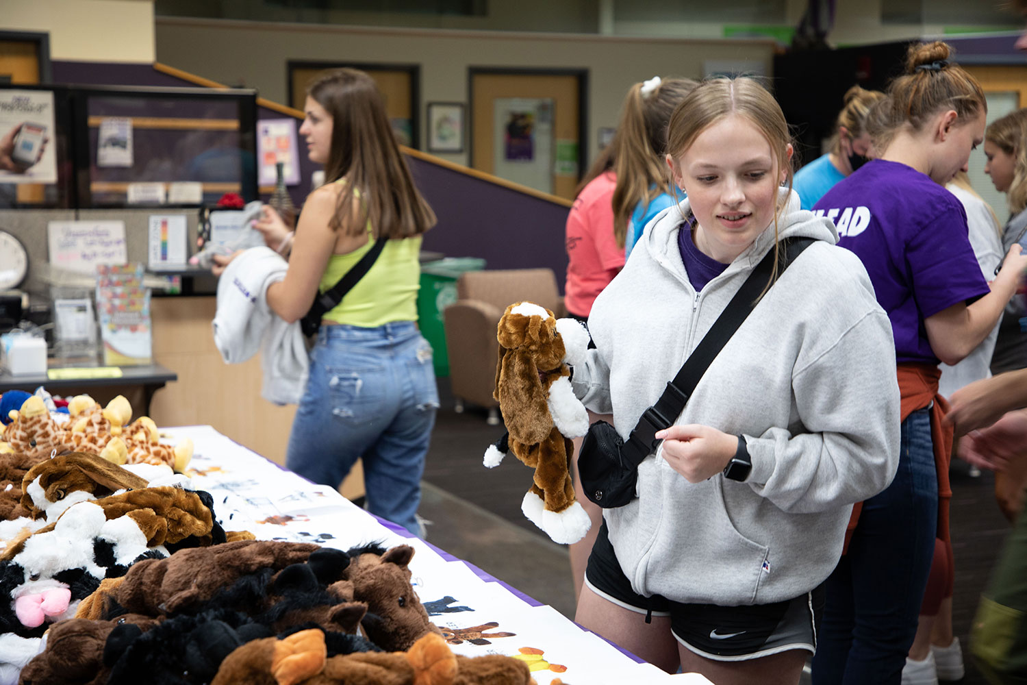 Critter Kits - Affordable, easy-to-assemble stuffed animal kits